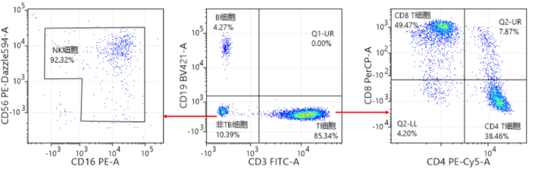 SFLO全光谱流式应用方案： 人外周血TBNK细胞亚群分型-杭州谱康医学科技有限公司